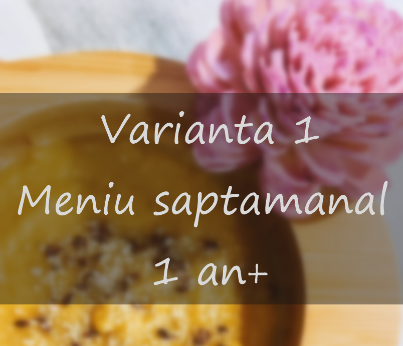 Meniu saptamanal 1an+ varianta 1 – Meniuri pentru zambareti